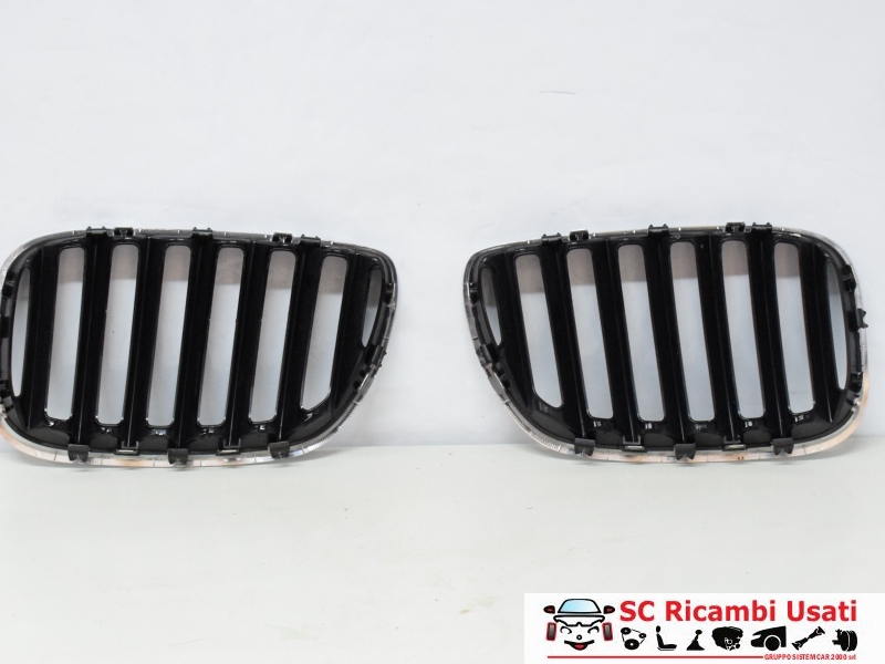 Griglia Paraurti Anteriore Bmw X5 E53 51137124815 51137124816 | SC ...