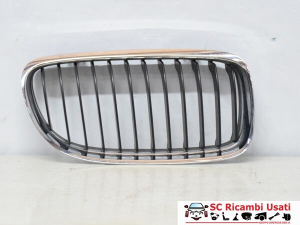 Griglia Paraurti Destra Bmw Serie 3 51137201968 | SC Ricambi Usati