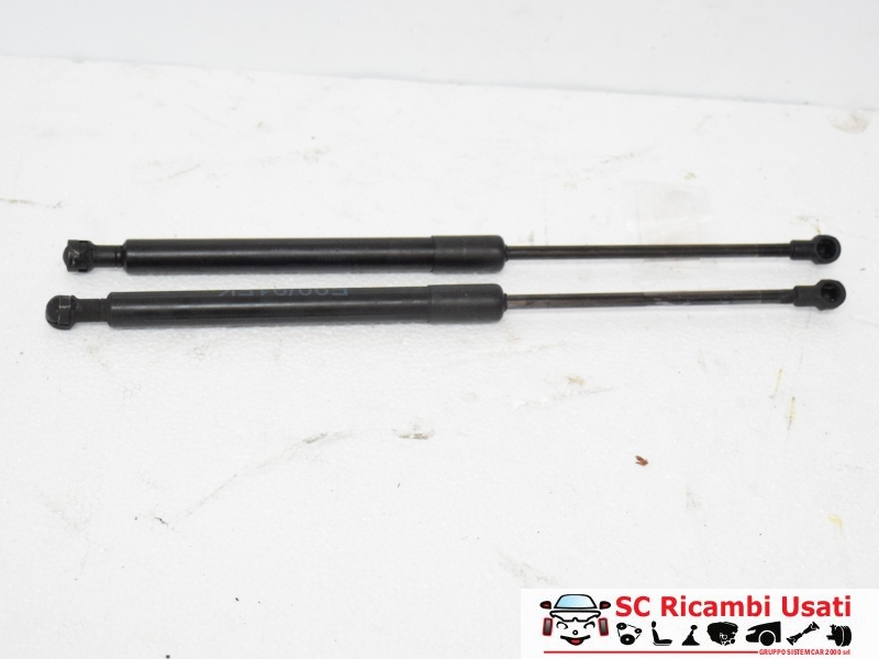 Pistoncini Cofano Anteriore Bmw Serie 3 E90 51237060550 | SC Ricambi Usati
